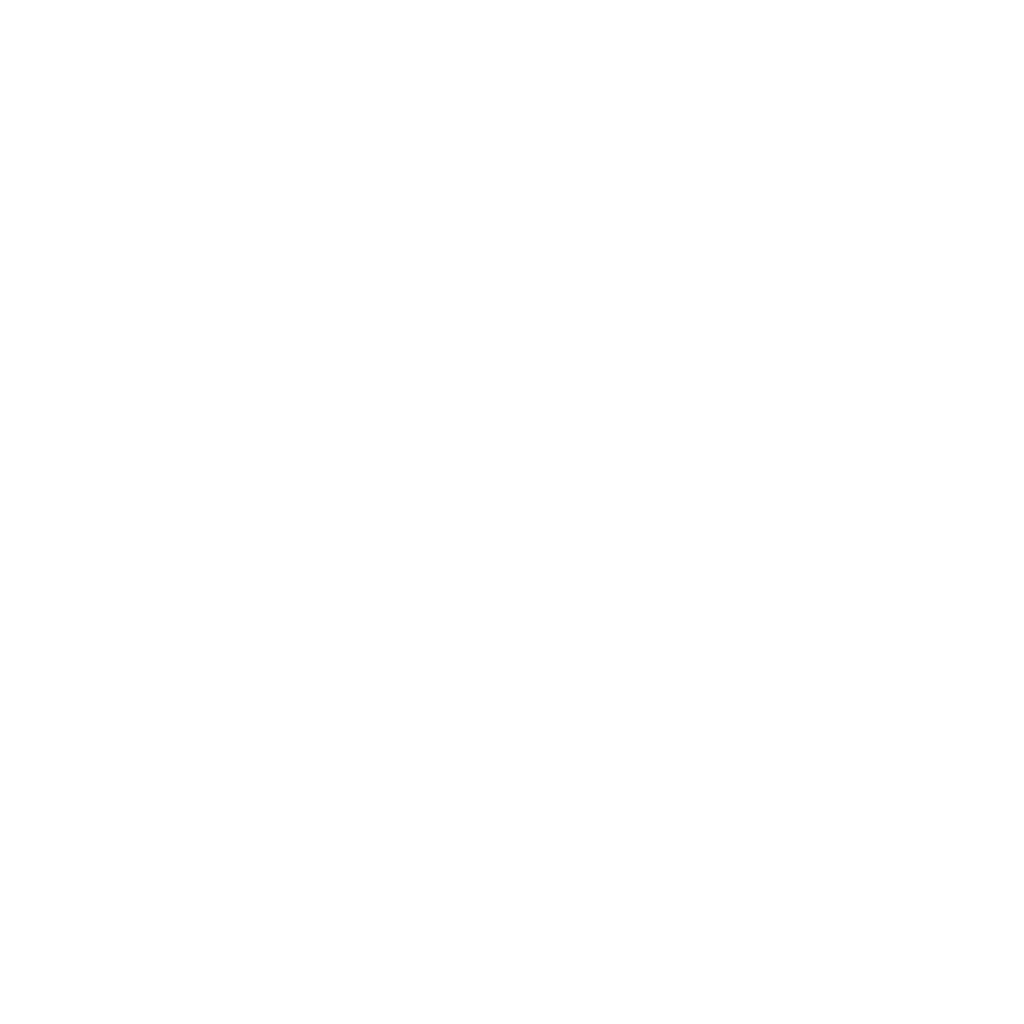 Services - MIS Active Management Systems