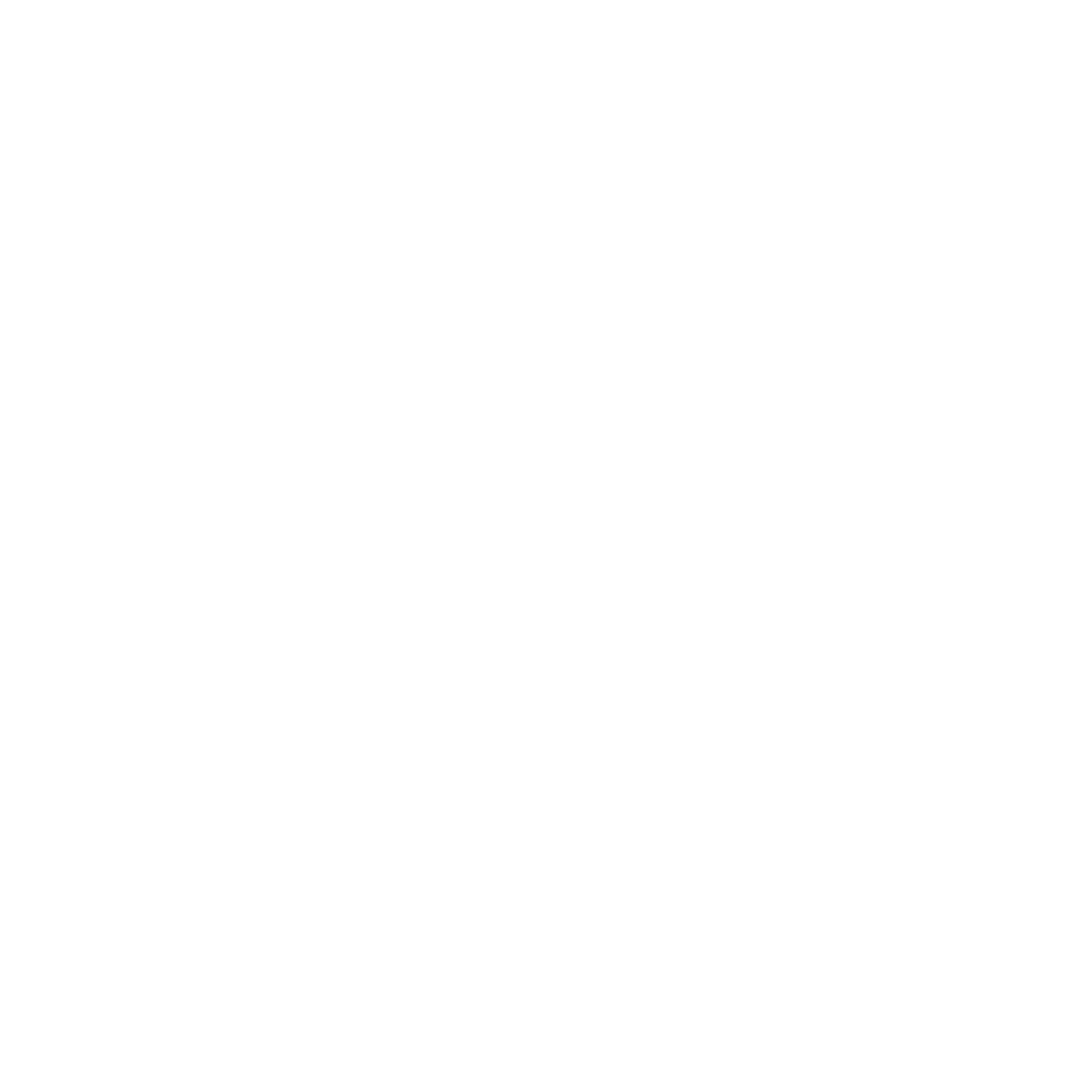 Services - MIS Active Management Systems